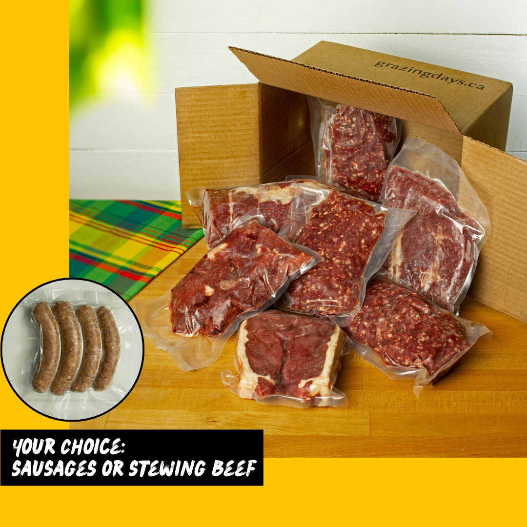 10lb Variety Box of Quality 100% Grass-fed Beef – Grazing Days