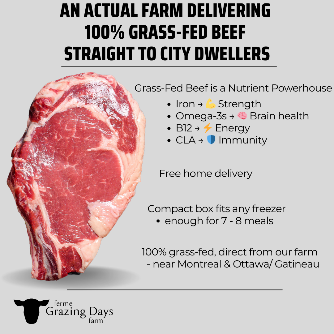 Grass-Fed Beef Variety Box – 7 to 8 Meals Inside – Grazing Days