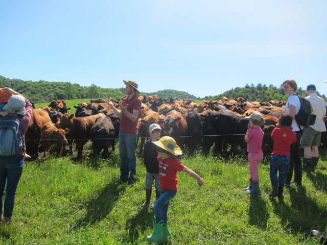 Farm Lunch and Tour Ticket – Grazing Days